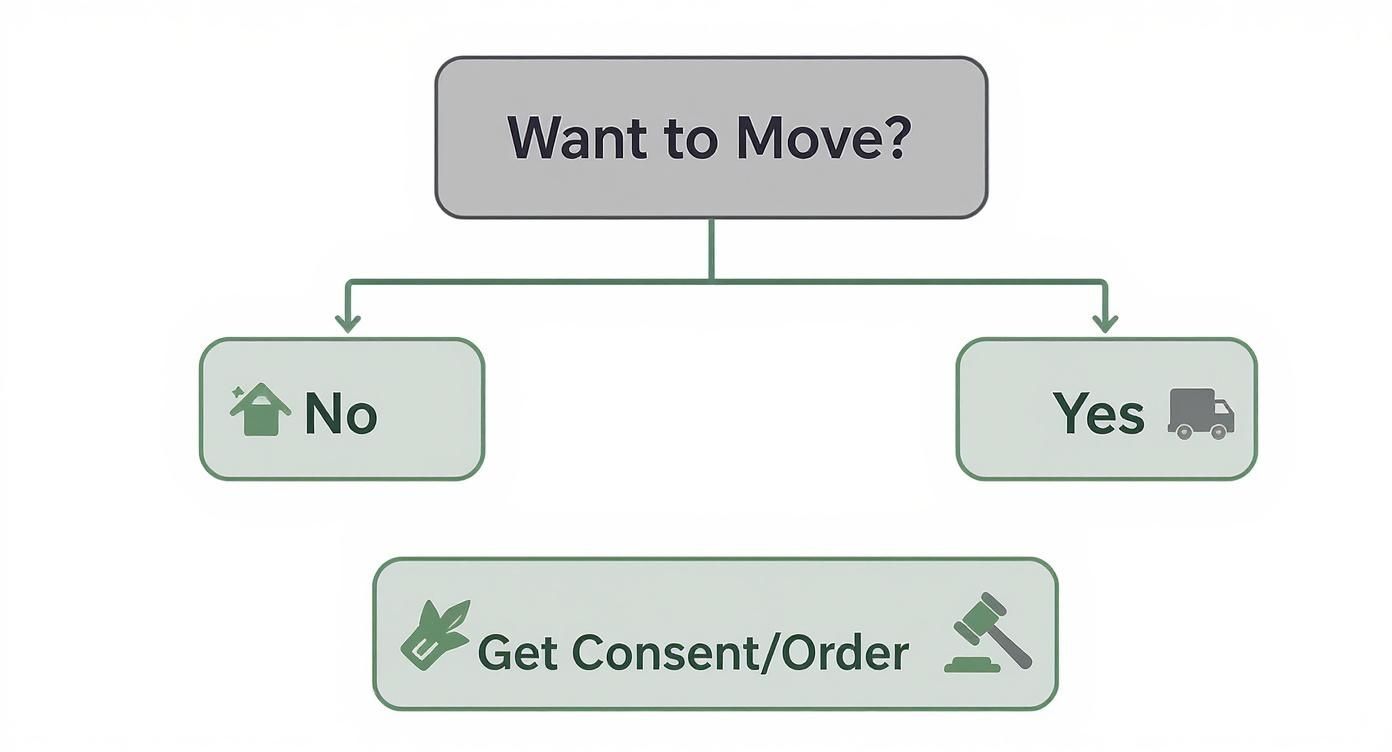 Custodial Parent Definition Brampton Family Law Guide