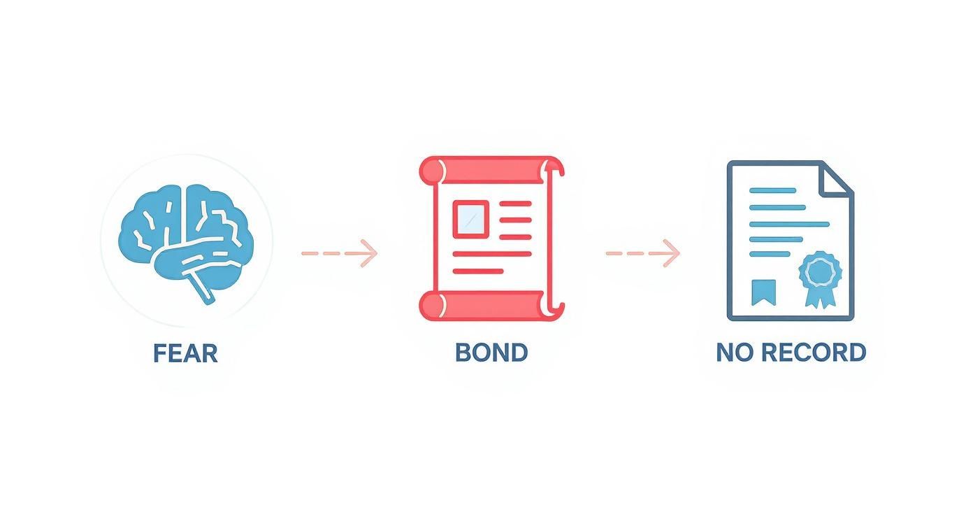 What is a peace bond ontario? A Brampton Client's Guide