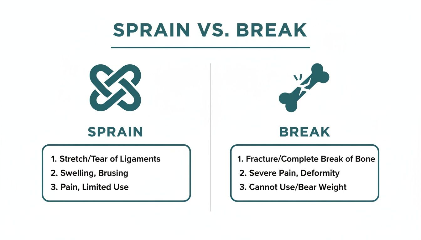 Sprain vs Break: How to Tell the Difference - Carter's Walk-In + Urgent ...