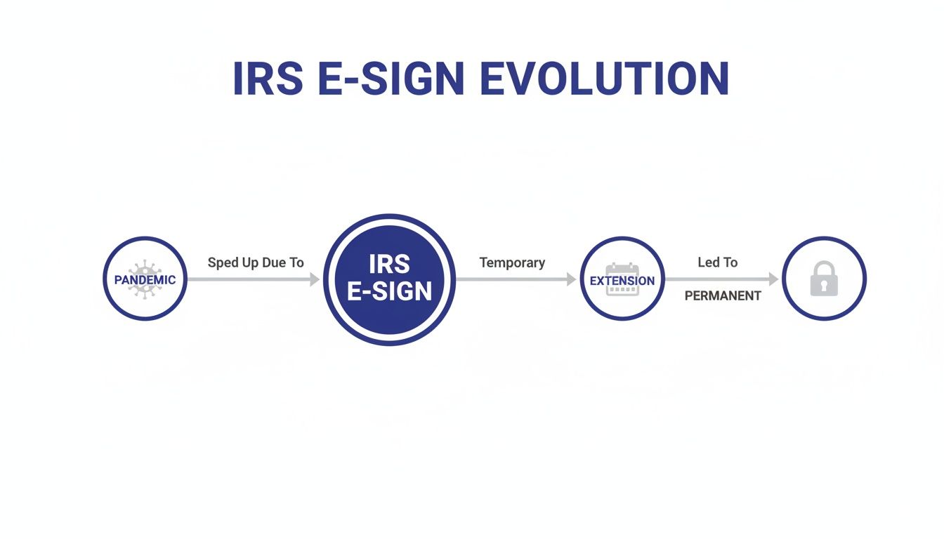 IRS Electronic Signature Rules: What's Allowed