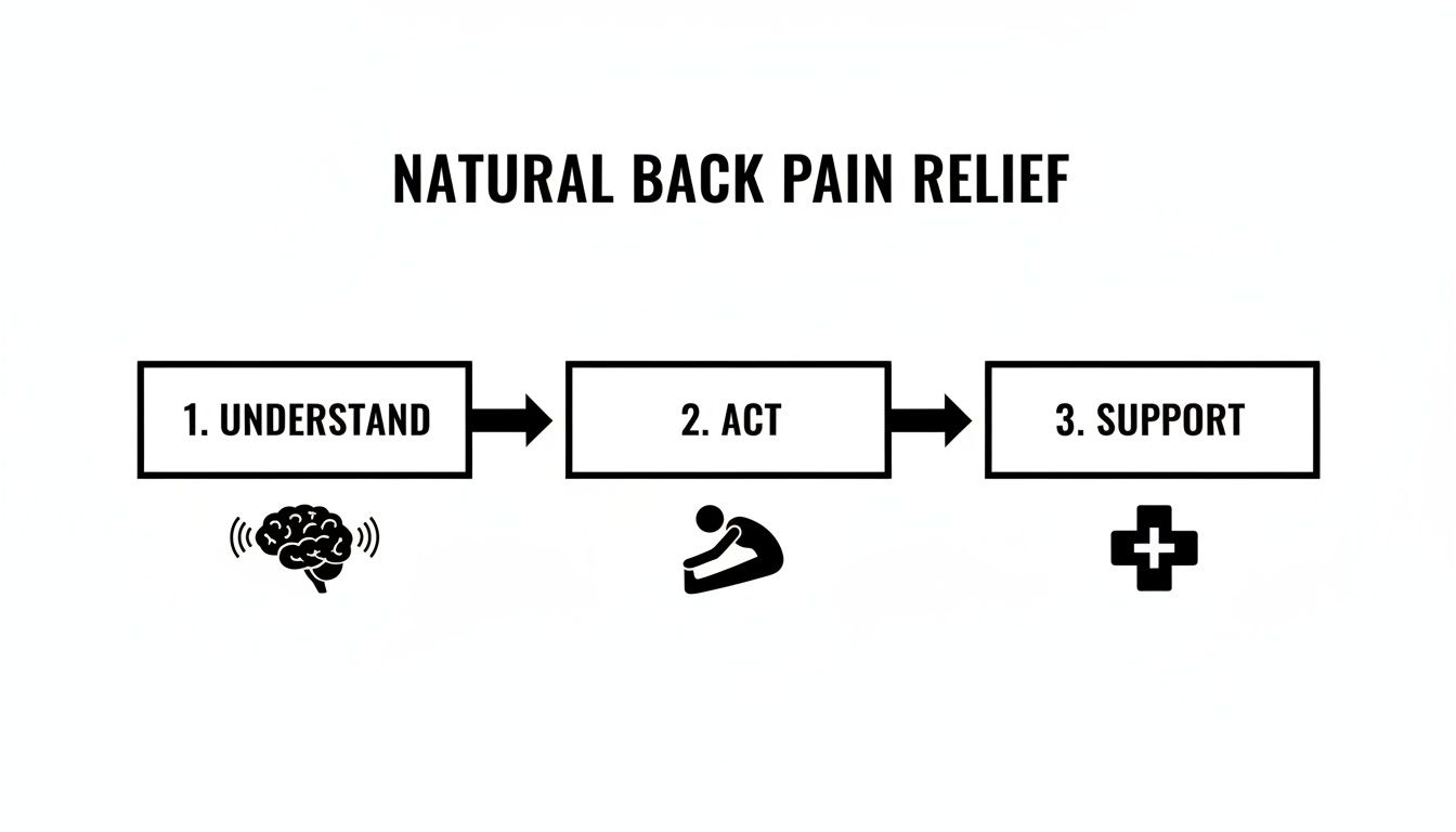 Fairfax Lower Back Pain Relief | Chiropractic & Laser Therapy