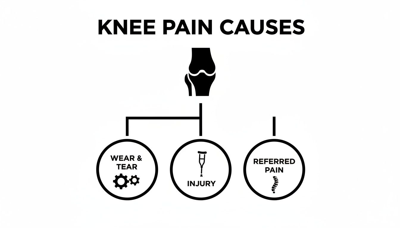 Your Guide to Non Surgical Knee Pain Relief in Fairfax, VA