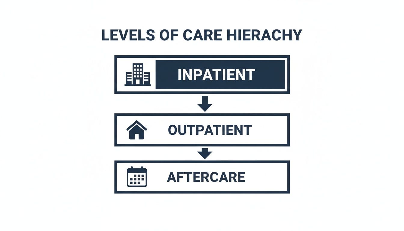 Treatment Options for Substance Abuse: A Guide to Recovery