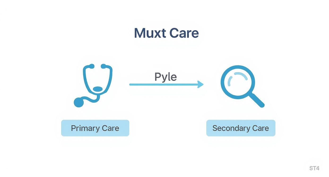 What Are the Levels of Care a Patient Guide