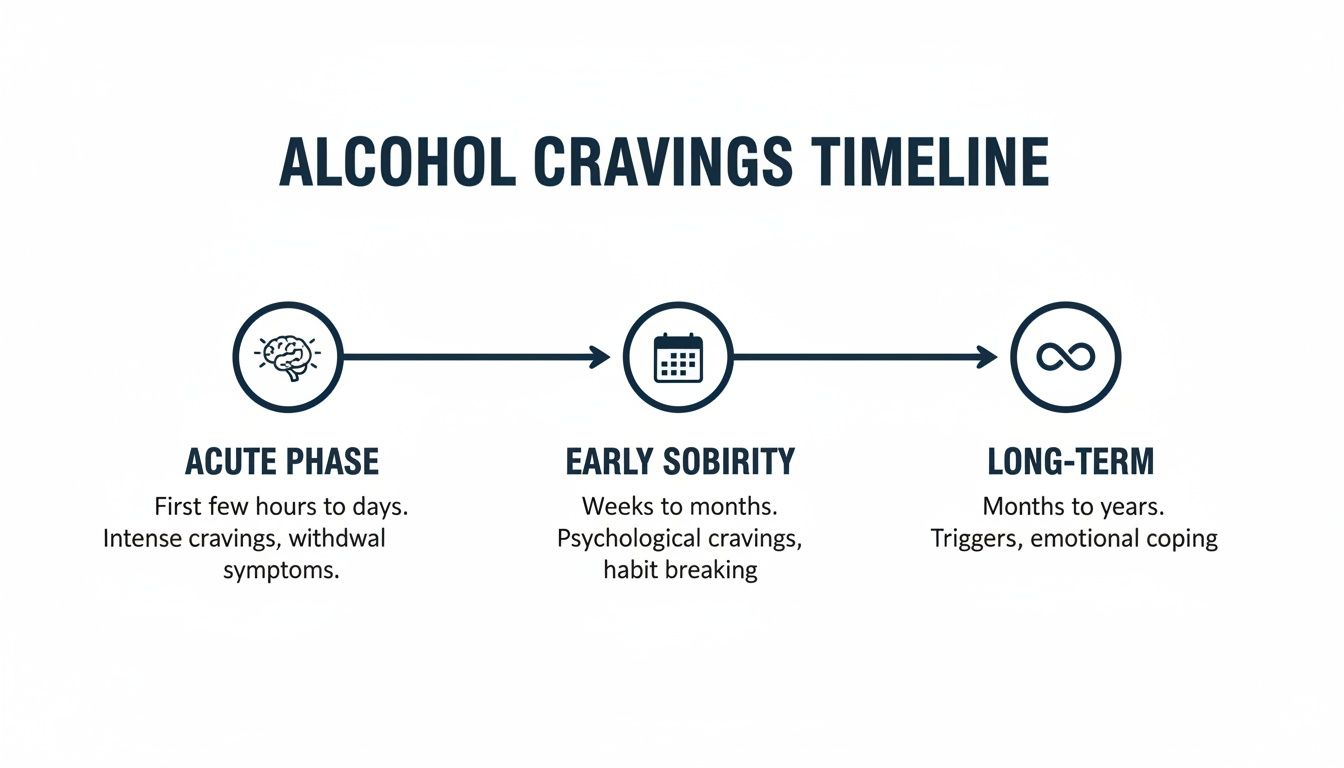 How long do alcohol cravings last: A Practical Guide to Recovery