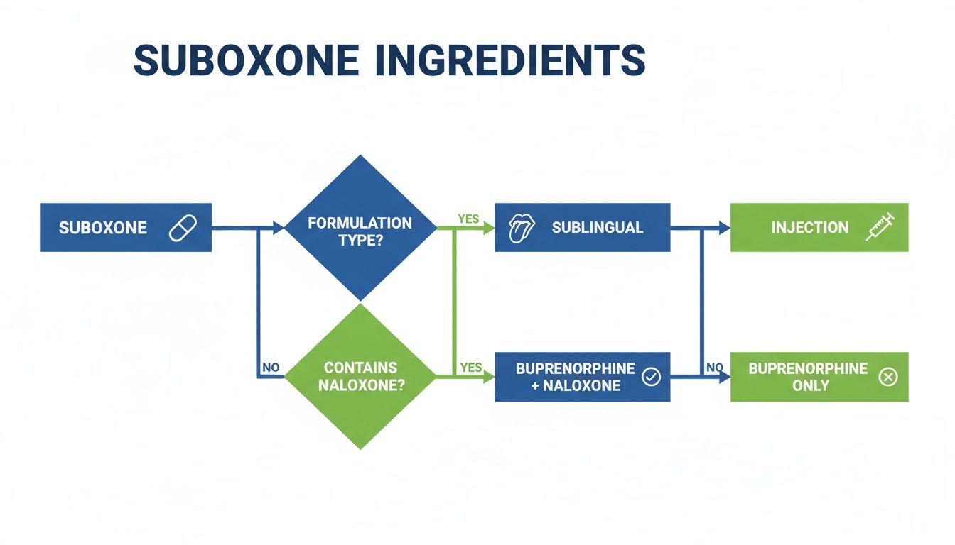 The Difference Between Suboxone and Subutex Explained