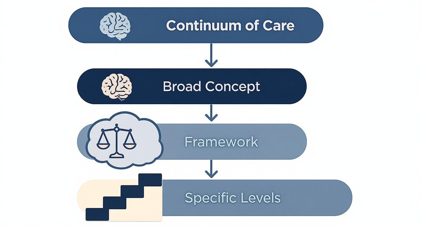 Navigating Behavioral Health Levels of Care