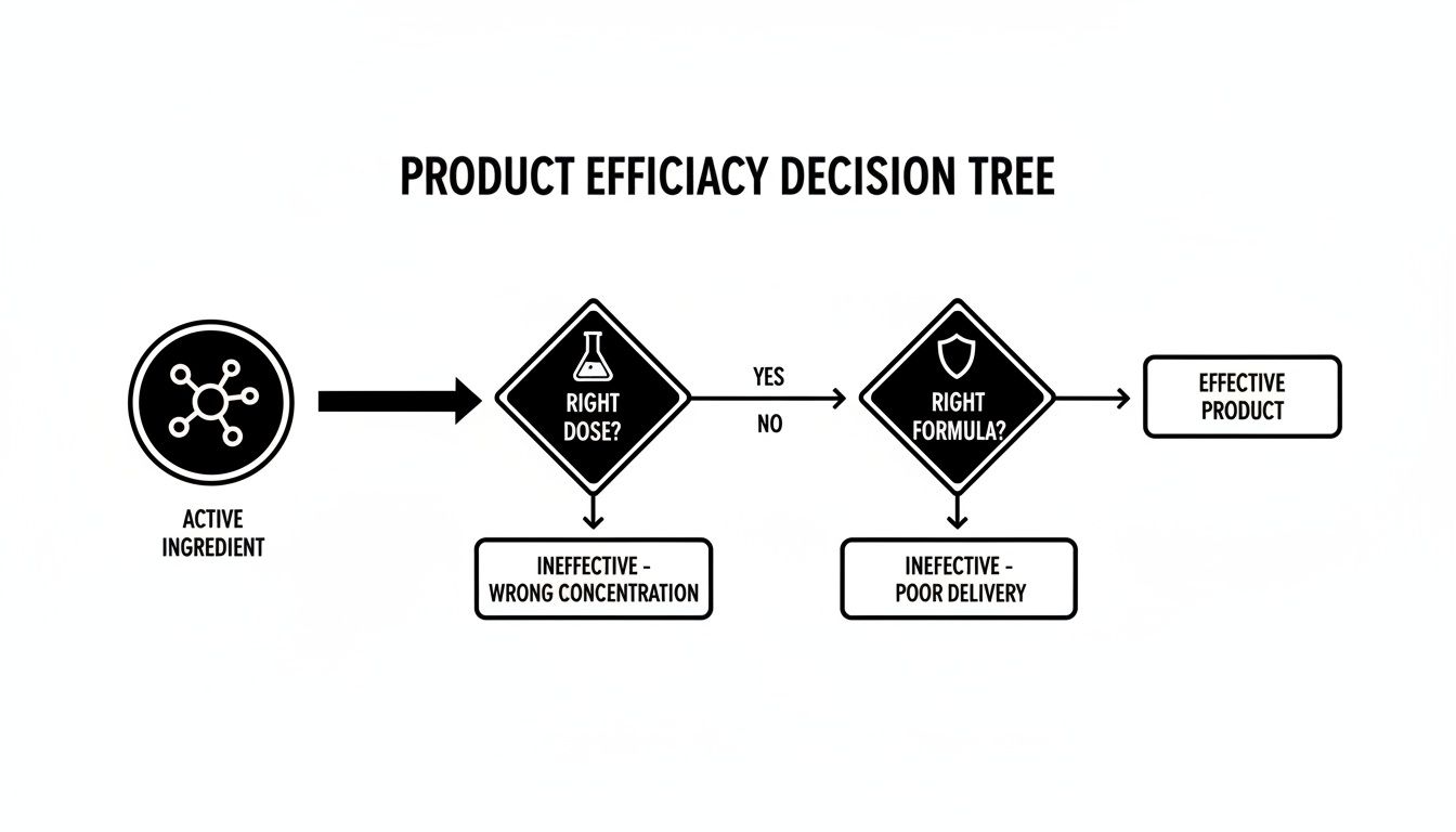 What Is an Active Ingredient in Skincare? – Neutralyze
