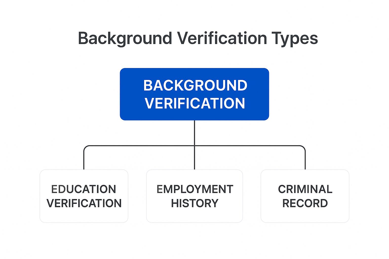 Background Verification Employment: Verify Before You Hire - Springverify Blog