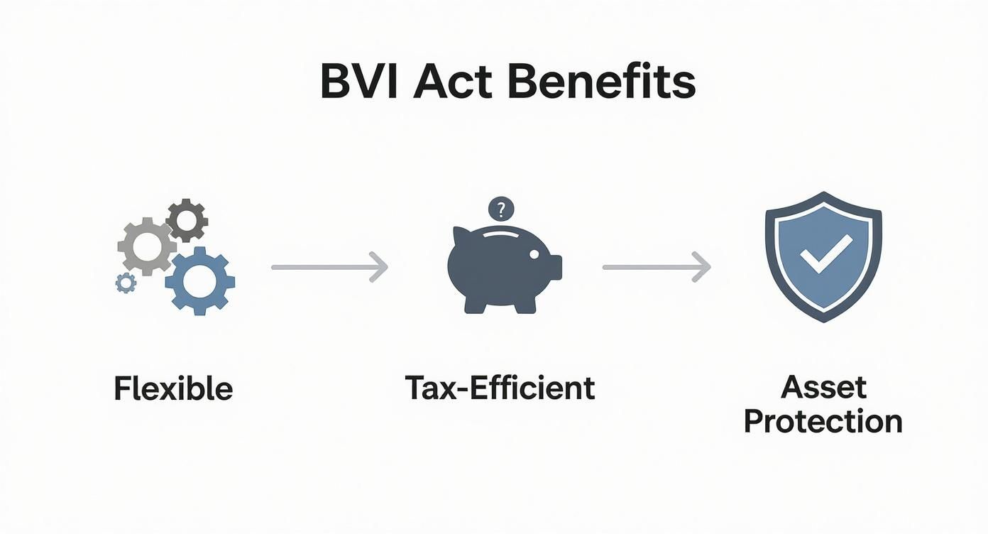 A Guide to the BVI Business Companies Act