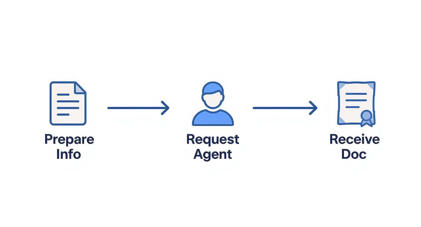 Navigating the BVI Certificate of Incumbency: Your Company's Official ...