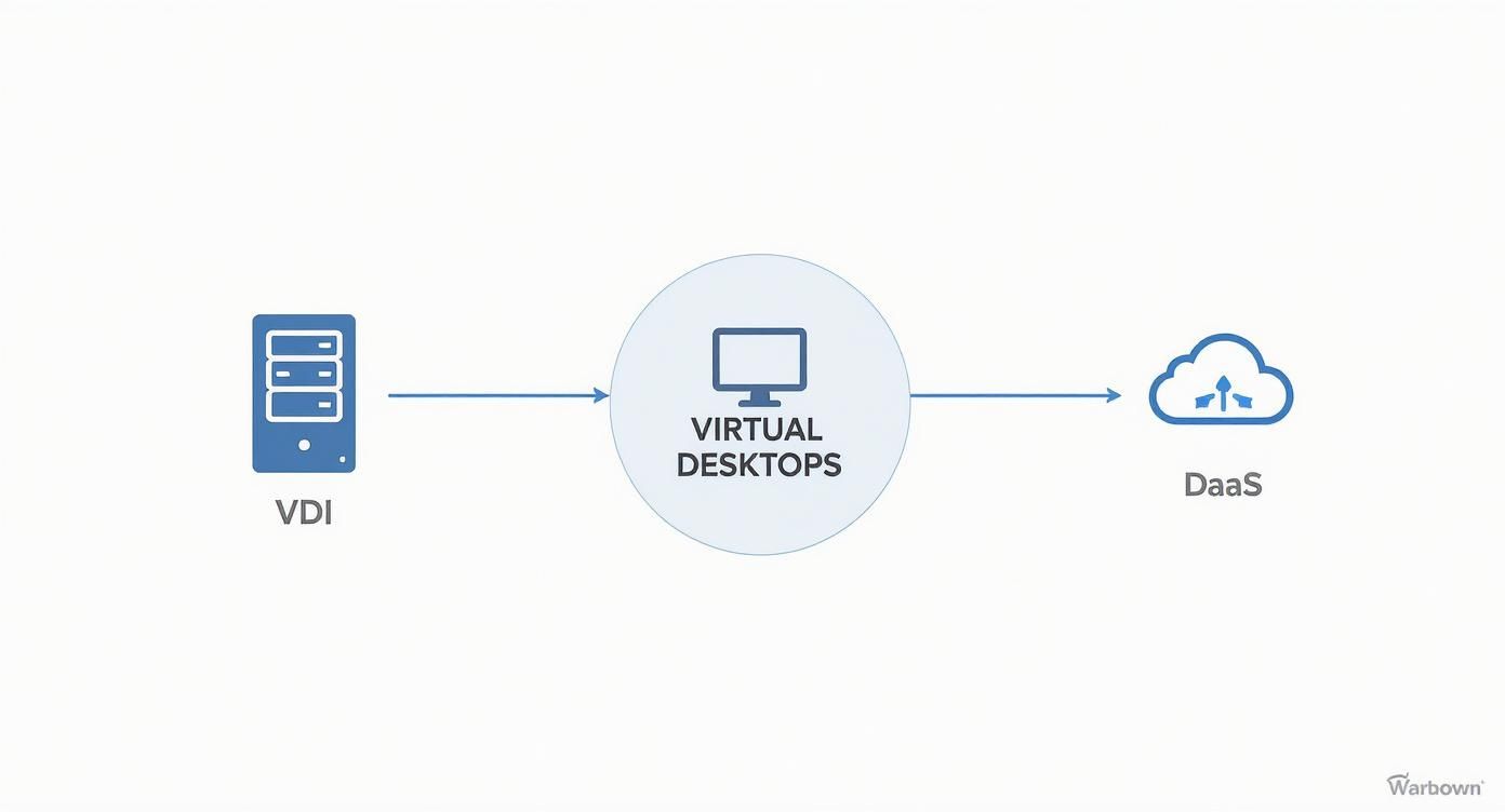 Unlocking Virtual Desktop Solutions for Your Business - Cloudvara