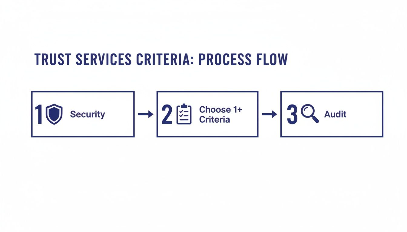 Your Practical Guide to Navigating a SOC 2 Audit - Cloudvara