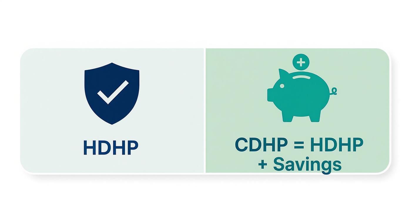 HDHP vs CDHP Your Guide to Choosing the Right Plan - Pounds Health