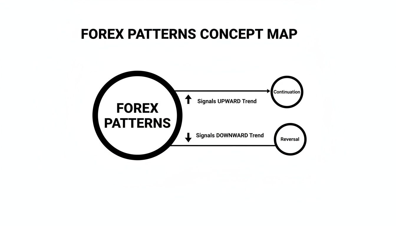 A Trader's Guide to Chart Patterns in Forex