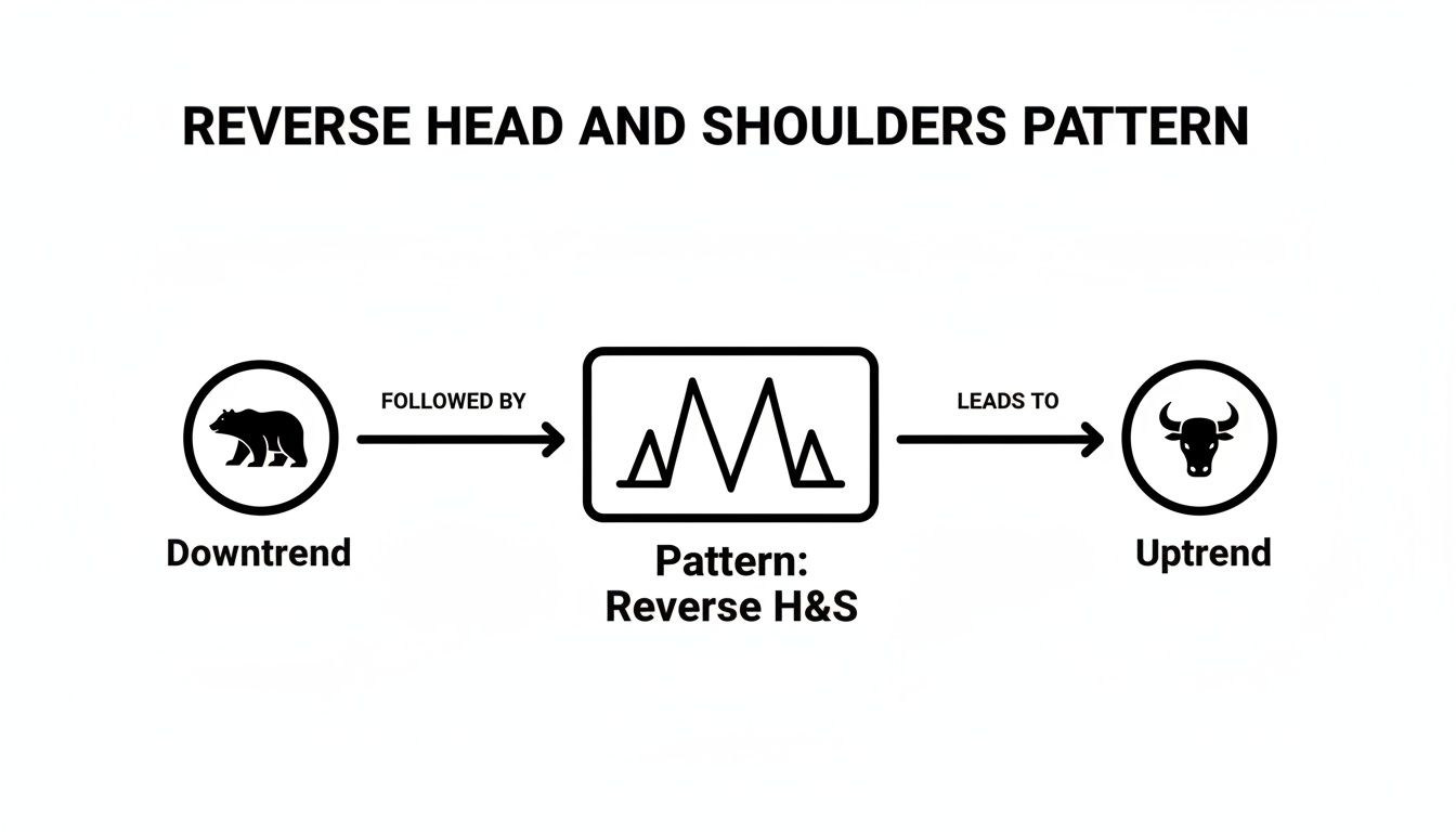 A Trader's Guide to the Reverse Head and Shoulders Pattern