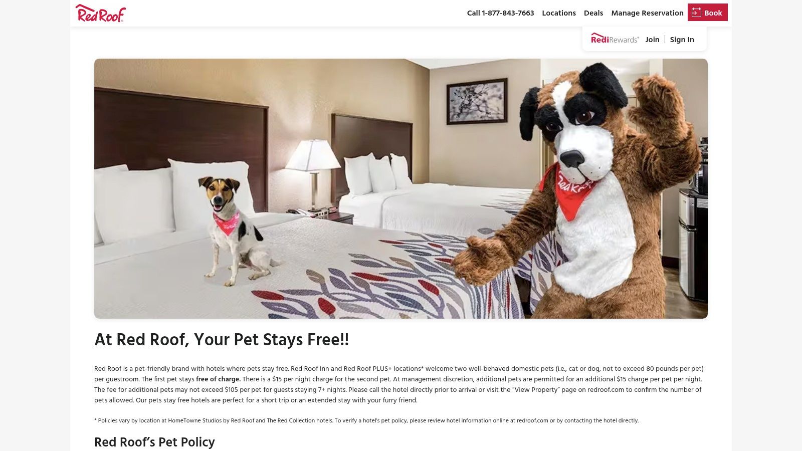 7 Best Booking Platforms and Hotels That Allow Cats in 2026 - Romingo
