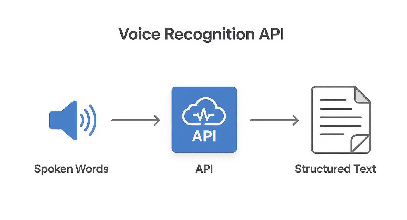 A Developer's Guide to Voice Recognition API | Blog