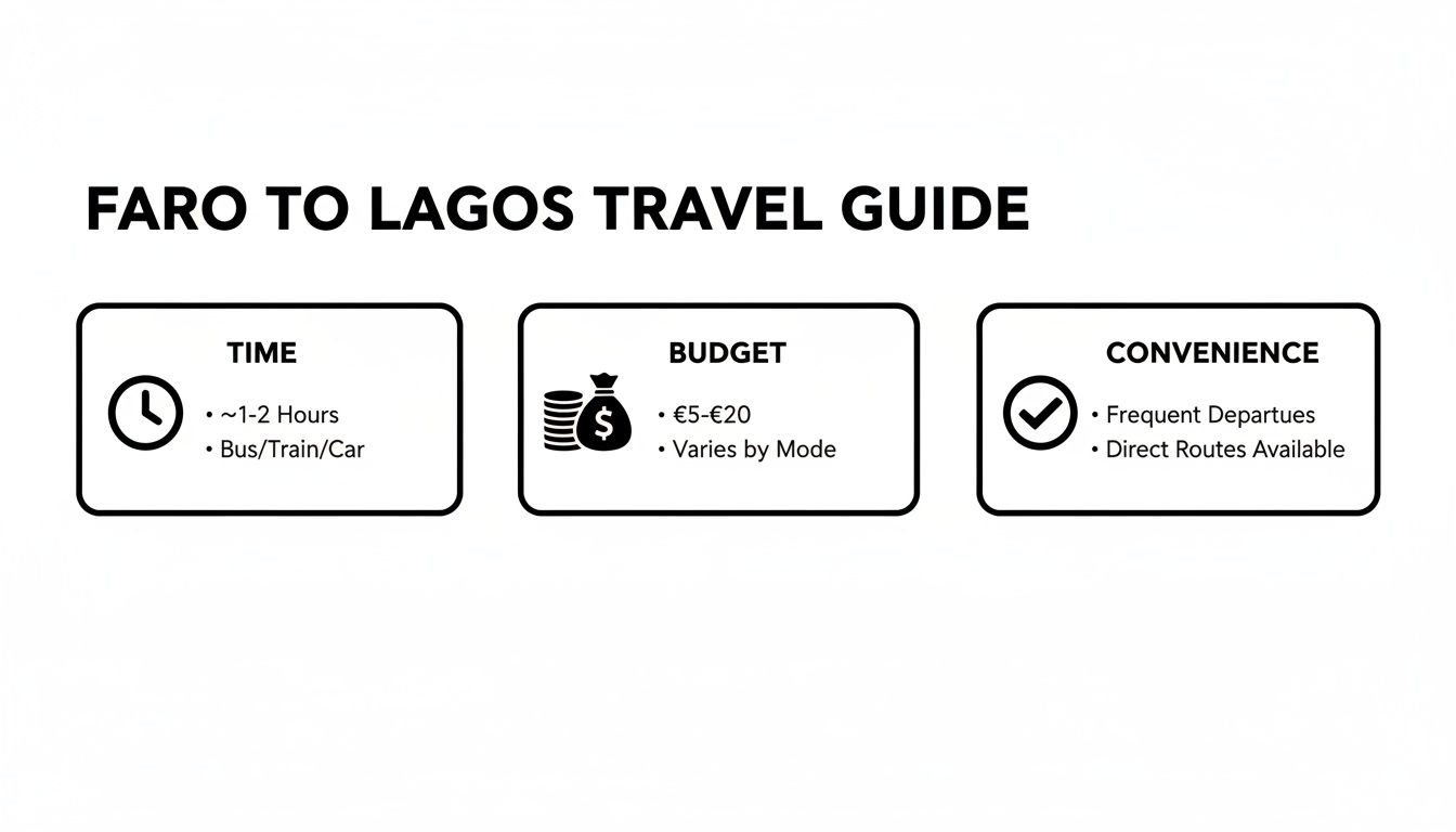 Faro to Lagos Travel Guide Comparing All Your Options
