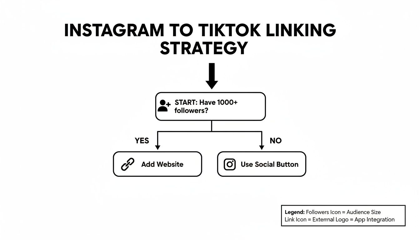 Guide: how to link tik tok to instagram and grow your audience - Blog ...