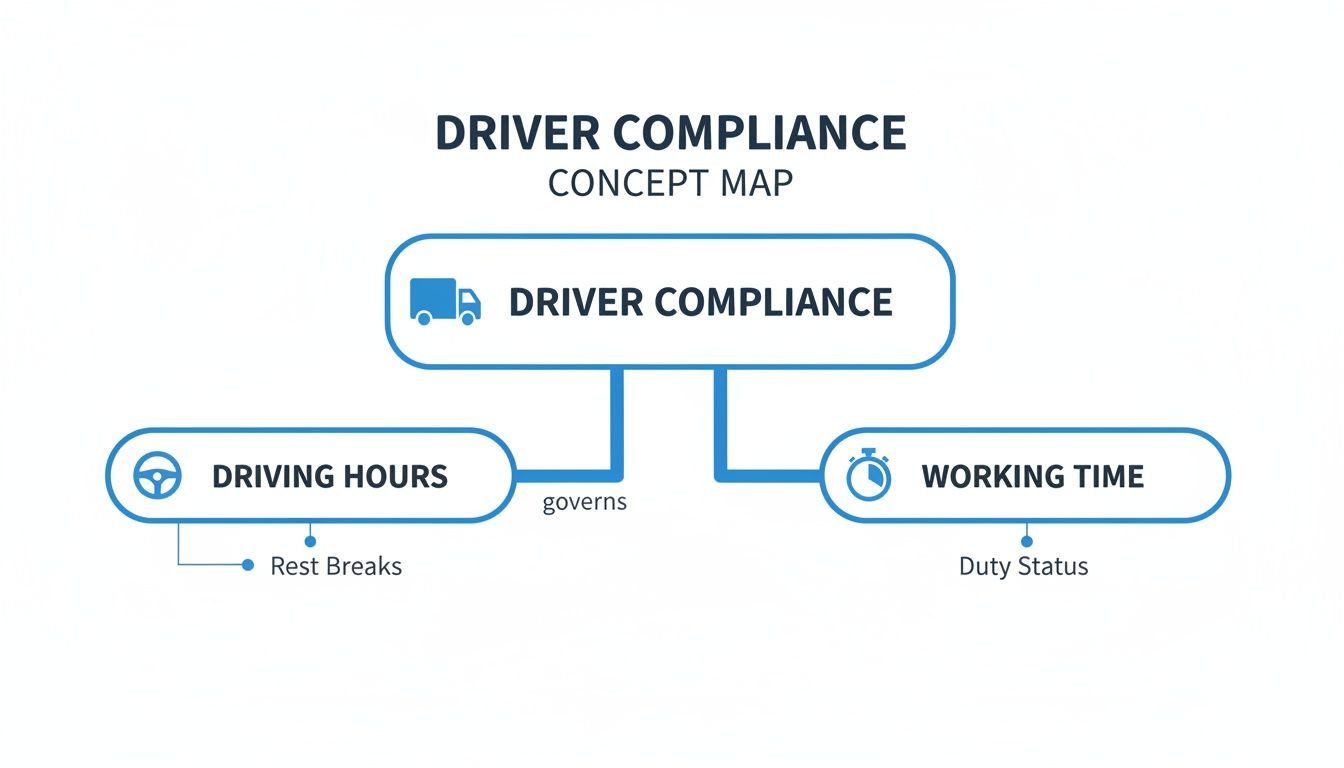 A Fleet Manager's Guide to the Drivers Hours and Working Time Directive