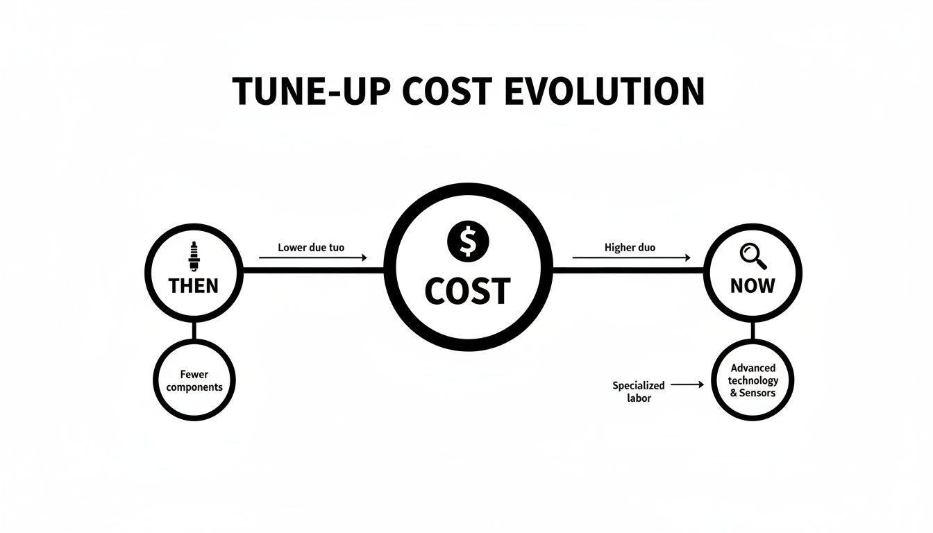 How Much Does a Tune Up Cost? how much does a tune up cost, updated for ...