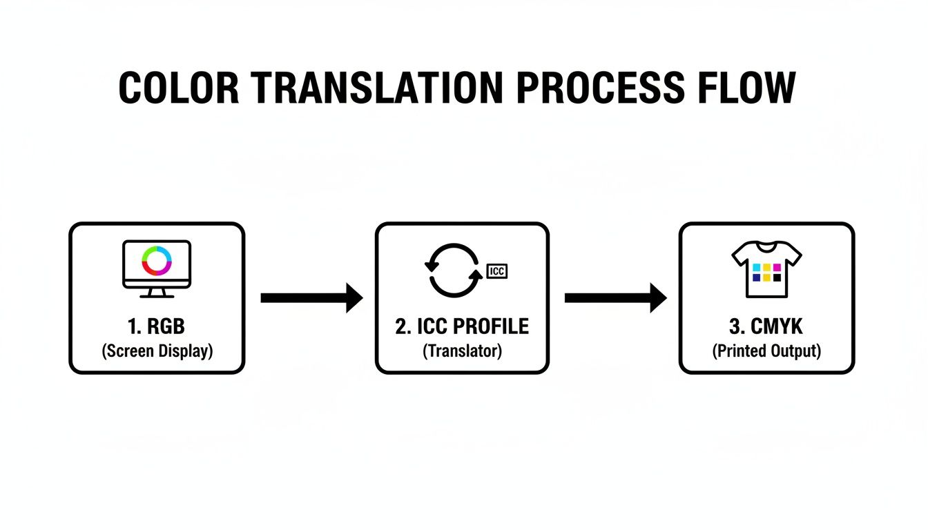 What is an icc profile? A Quick Guide to DTF Color Consistency – Cobra DTF