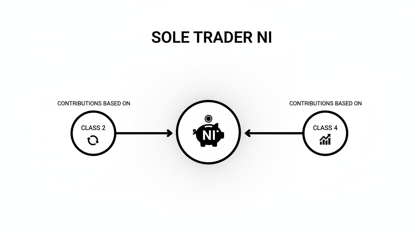 National Insurance for Sole Traders: A No-Jargon Guide - Artema