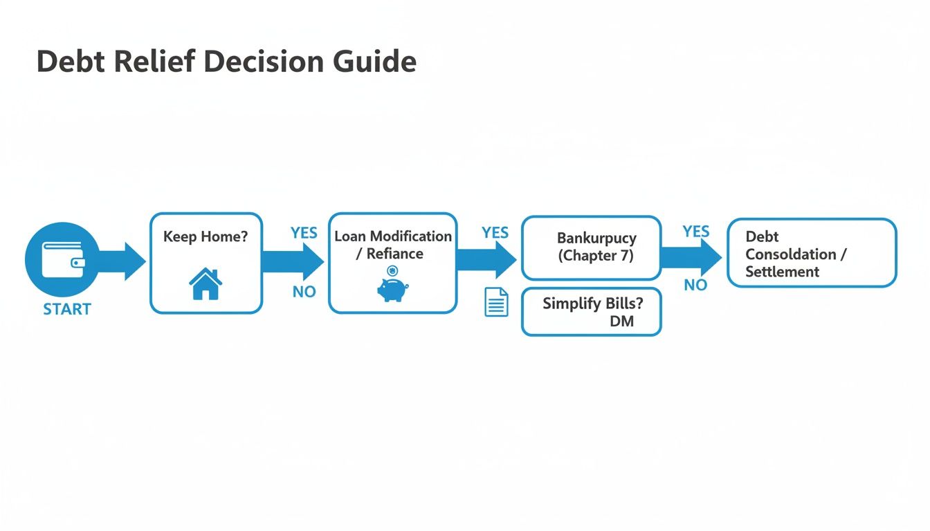 Bankruptcy vs Debt Relief Choosing Your Financial Path