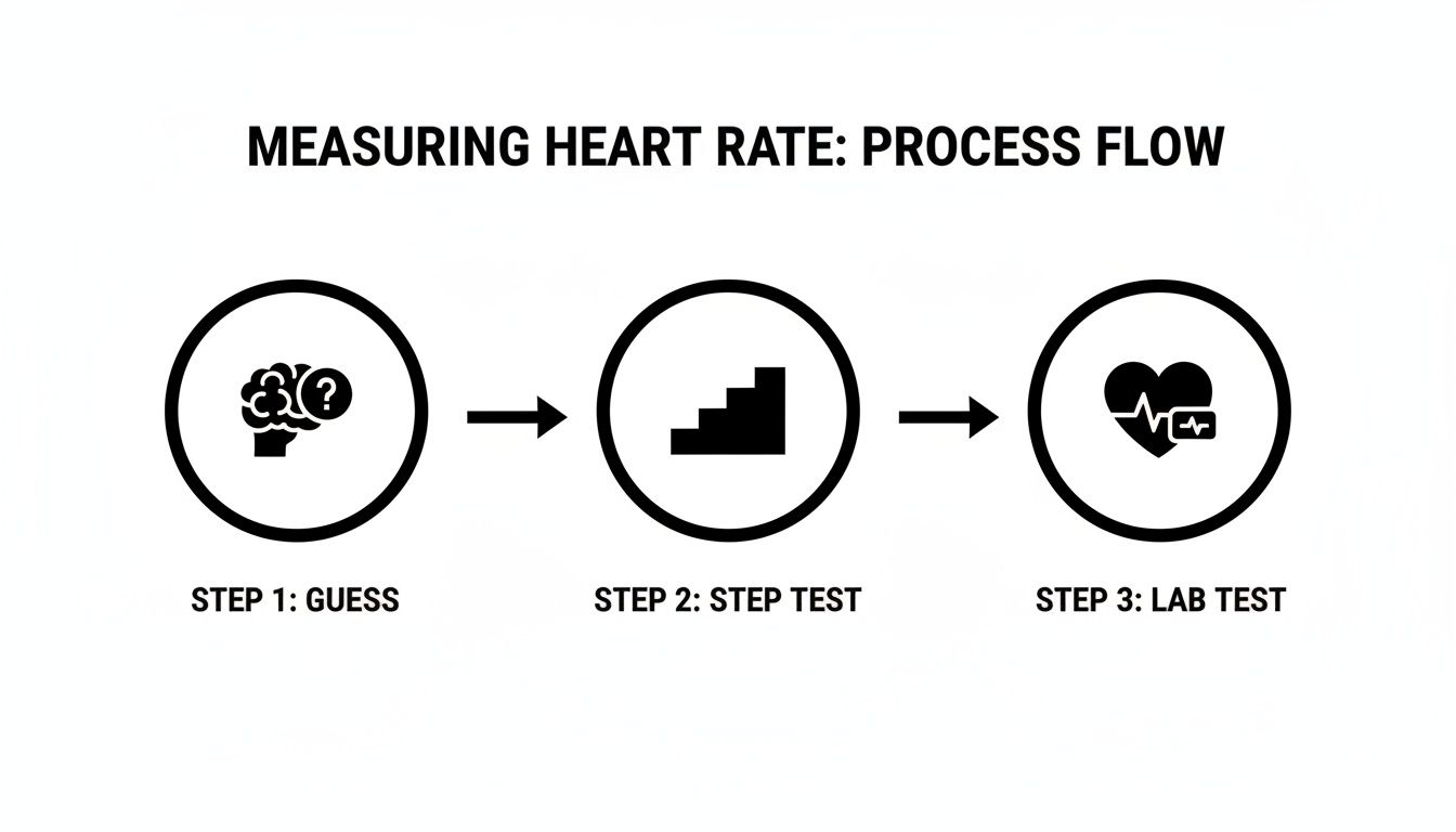 A Professional Guide to Stress Test Maximum Heart Rate | Cartwright Fitness