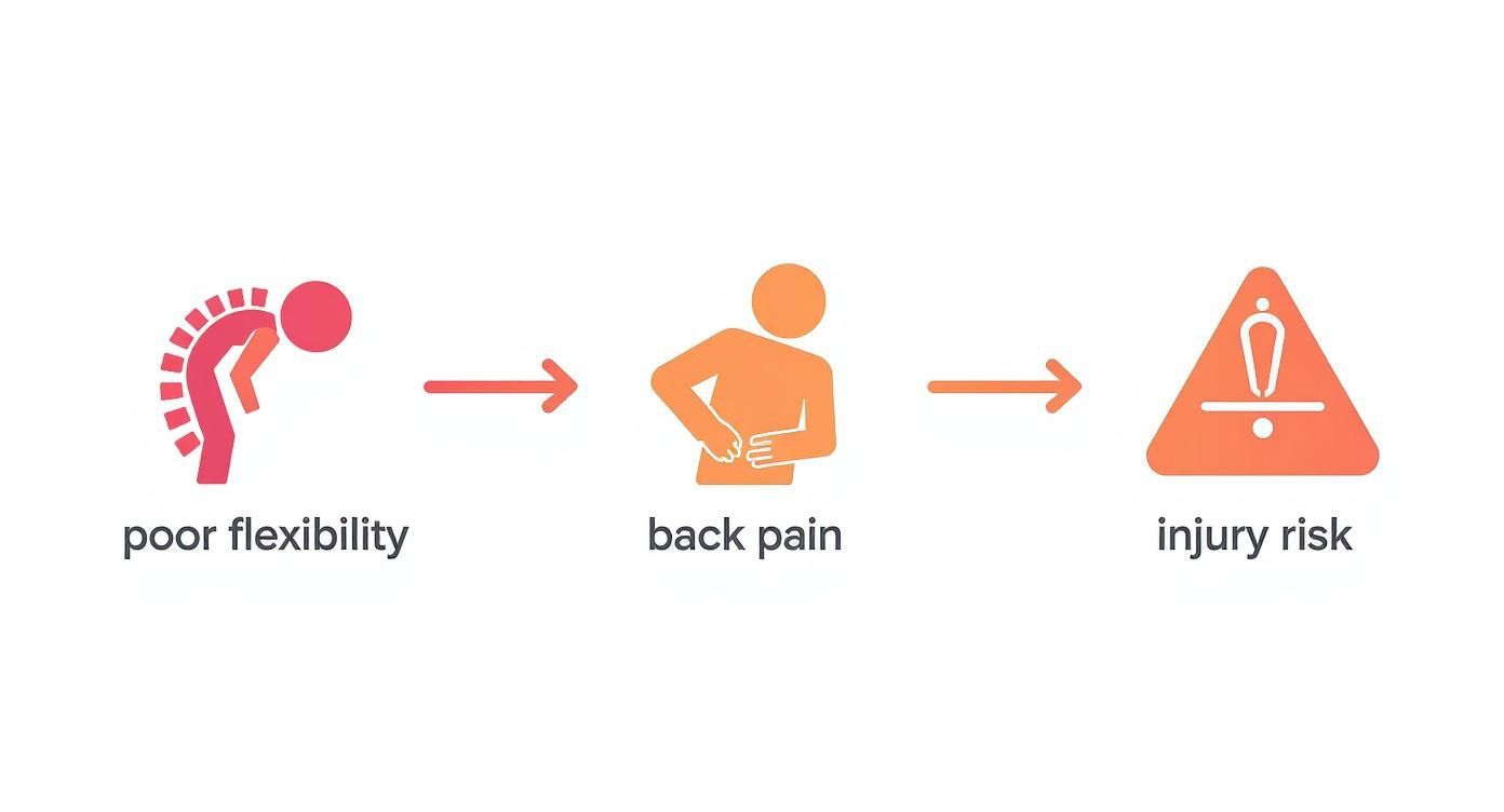 What Is a Sit and Reach Test A Full Guide | Cartwright Fitness