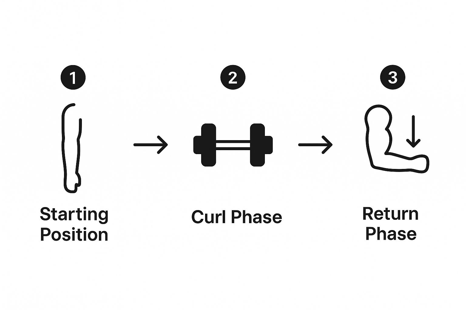 A Guide to the Bicep Curl Test | Cartwright Fitness