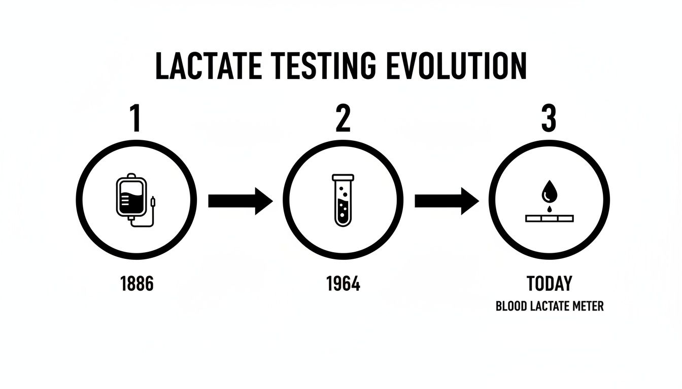 Lactic acid testing: Your Complete Guide to Peak Performance ...