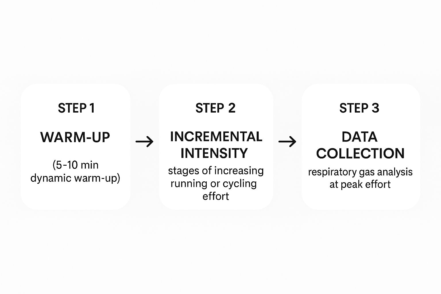 Vo2 Max Testing: A Complete Guide to Improve Your Fitness | Cartwright ...