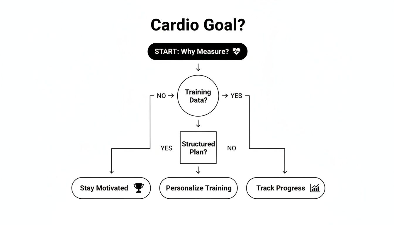 How to Measure Cardiovascular Fitness Like a Pro | Cartwright Fitness