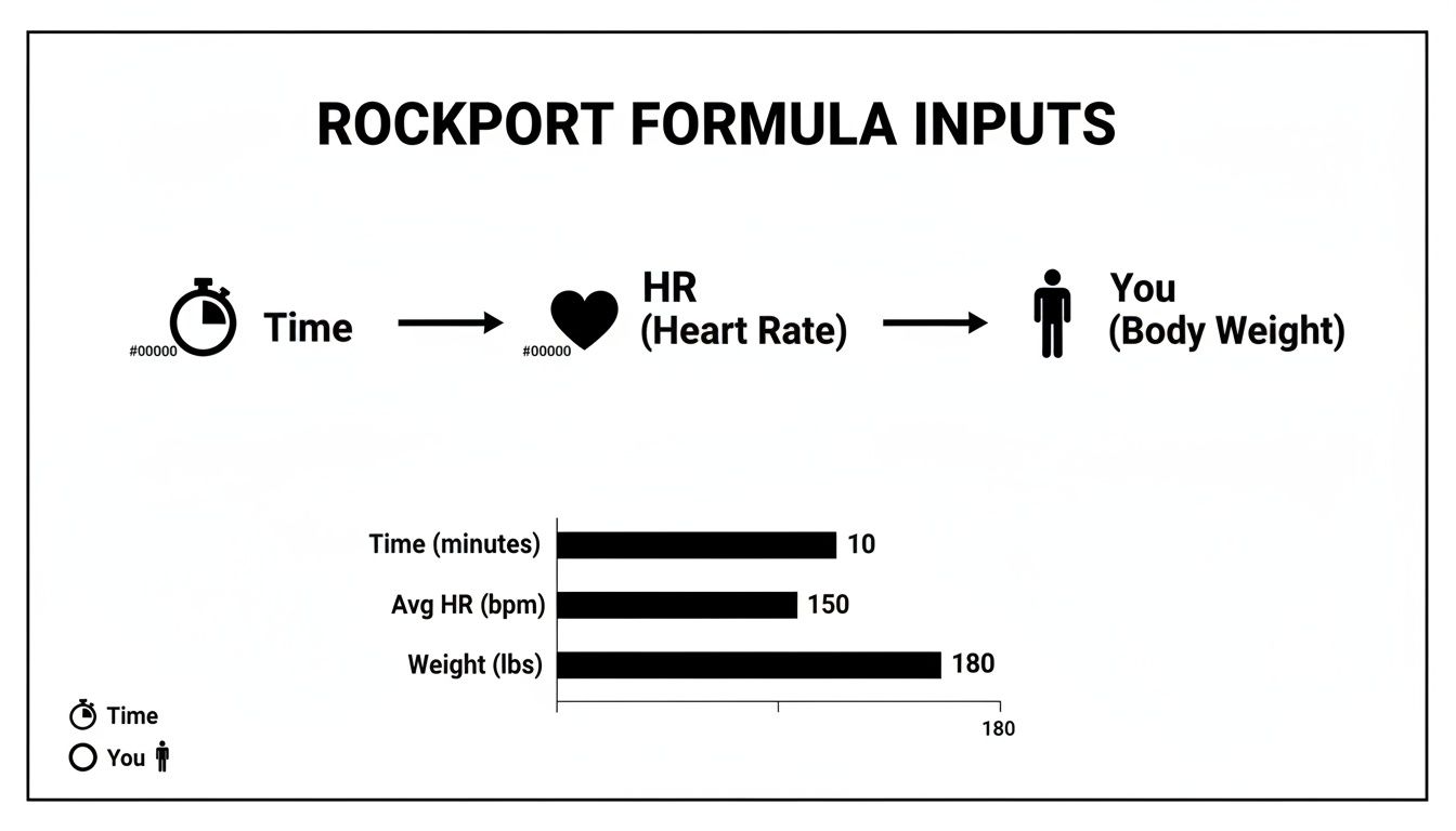 A Practical Guide to the Rockport Walking Test Calculator | Cartwright ...