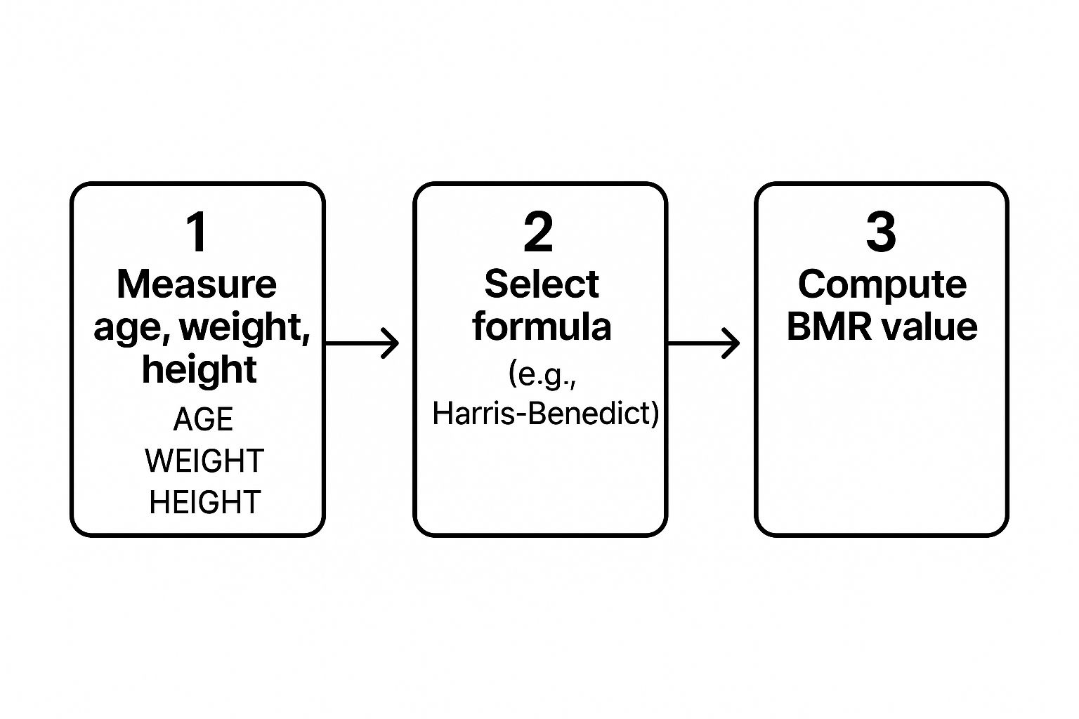A Practical Guide to Calculating Energy Expenditure | Cartwright Fitness