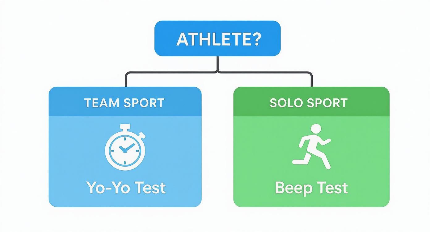 Master the Yo Yo Beep Test A Complete Guide | Cartwright Fitness