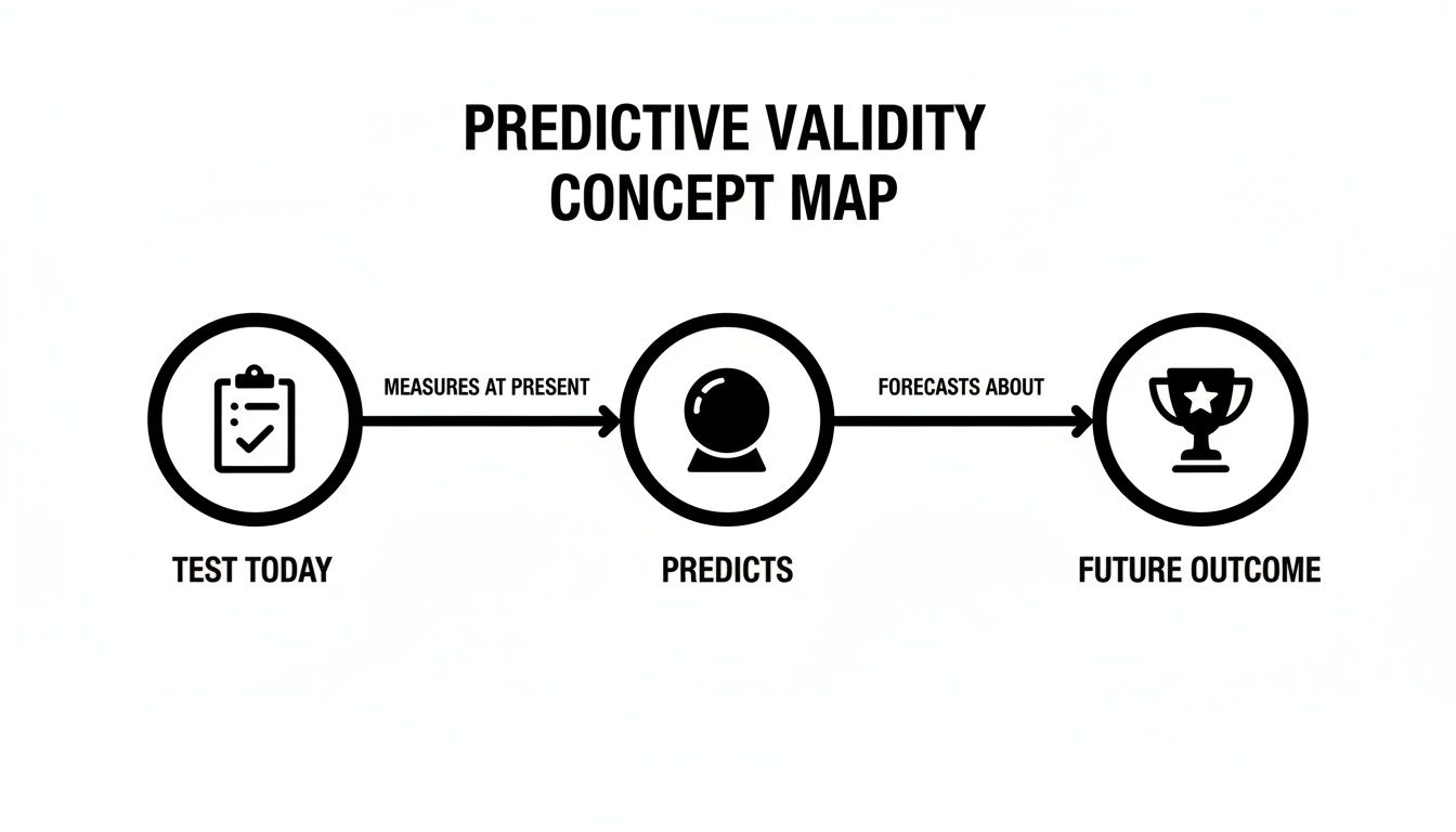 What Is Predictive Validity A Practical Guide for Fitness Pros ...