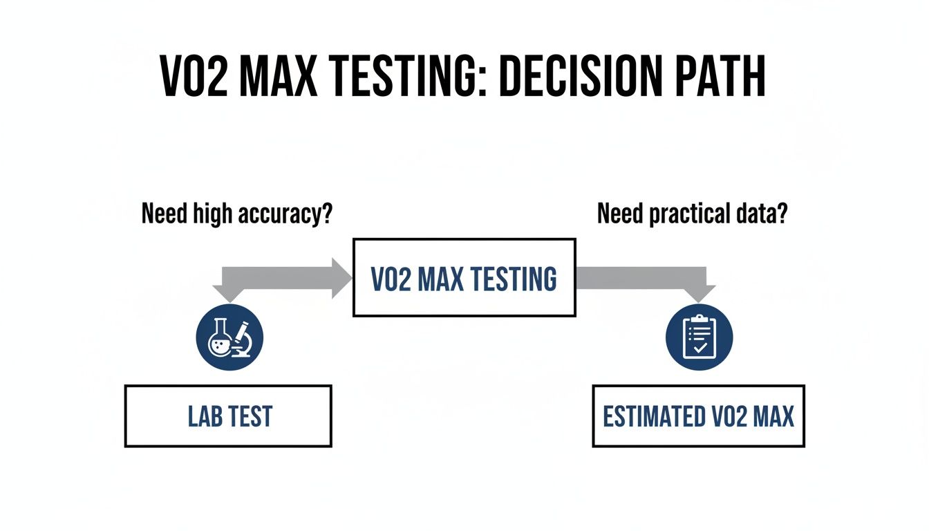 A Fitness Pro’s Guide to the Estimated VO2 Max Calculator | Cartwright ...