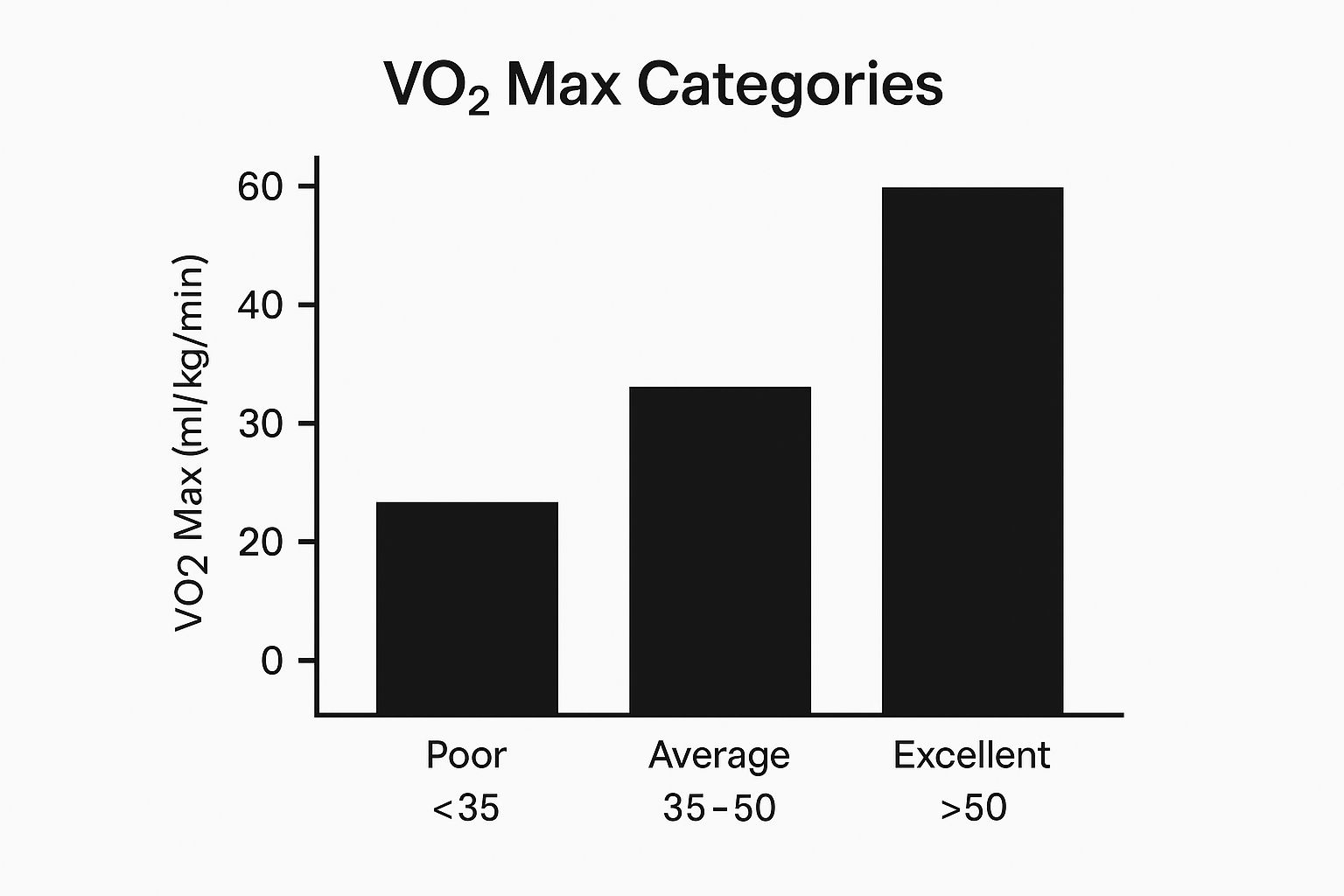 Top Cardiovascular Fitness Tests to Track Your Heart Health ...