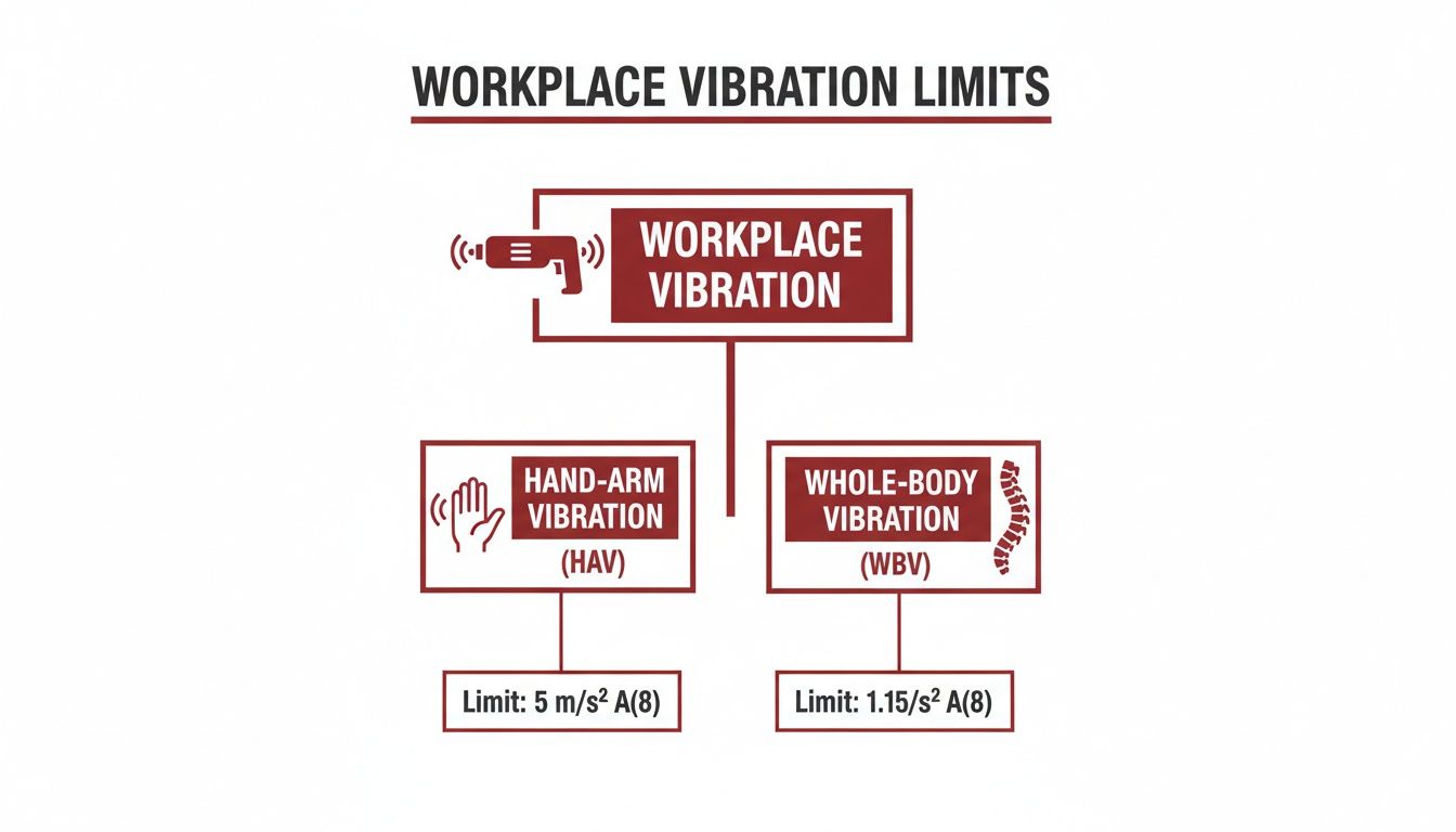 Why Is Vibration a Serious Health Issue? A Practical Workplace Guide