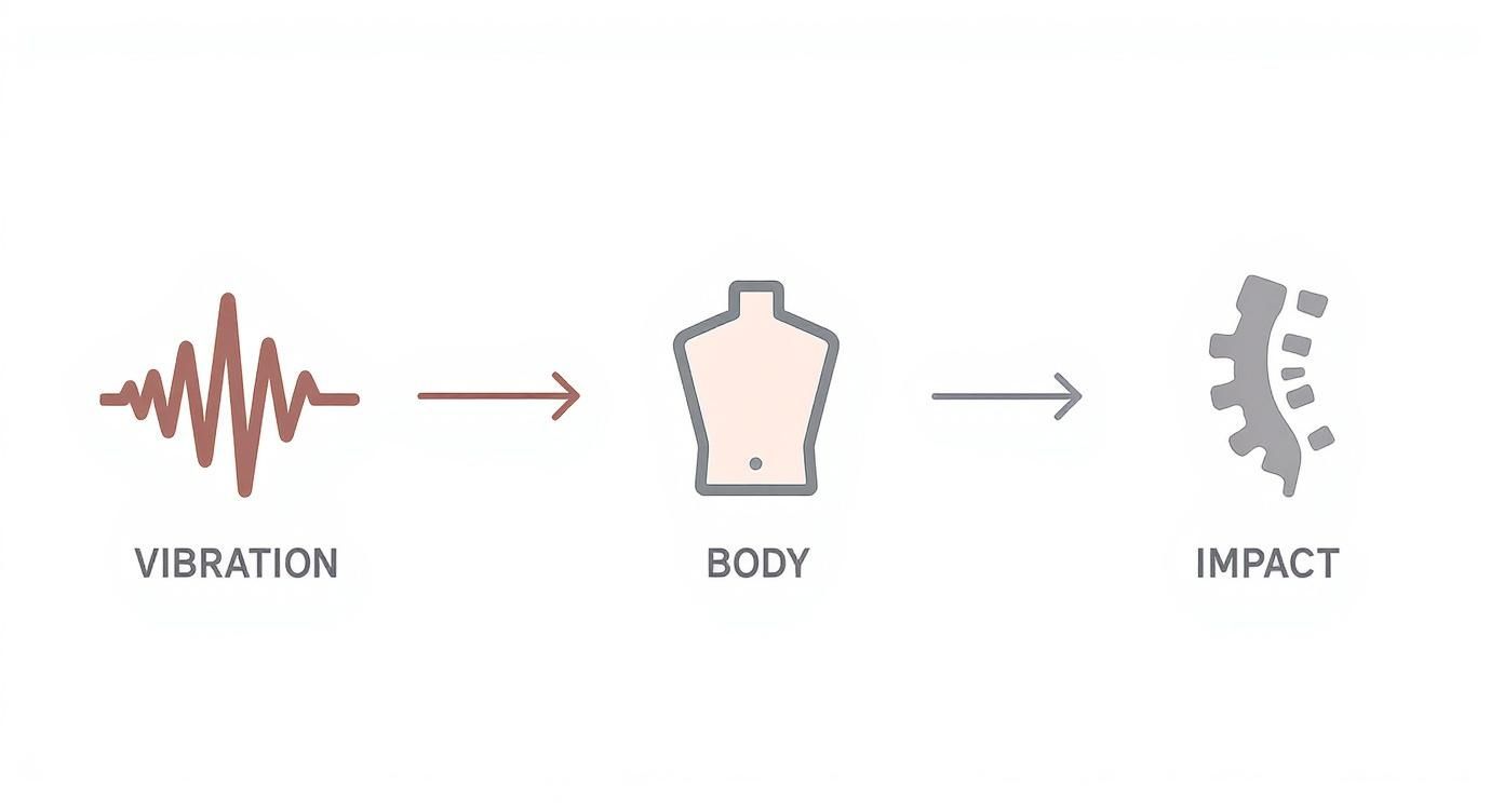 A Comprehensive Guide to Whole Body Vibration Risks and Solutions
