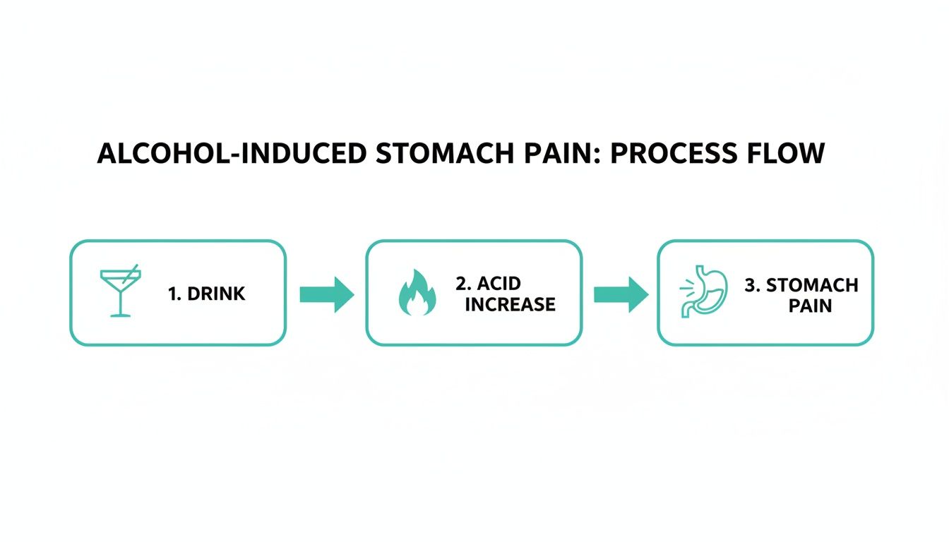Why Does My Stomach Hurt When Drinking Alcohol and How to Stop It ...
