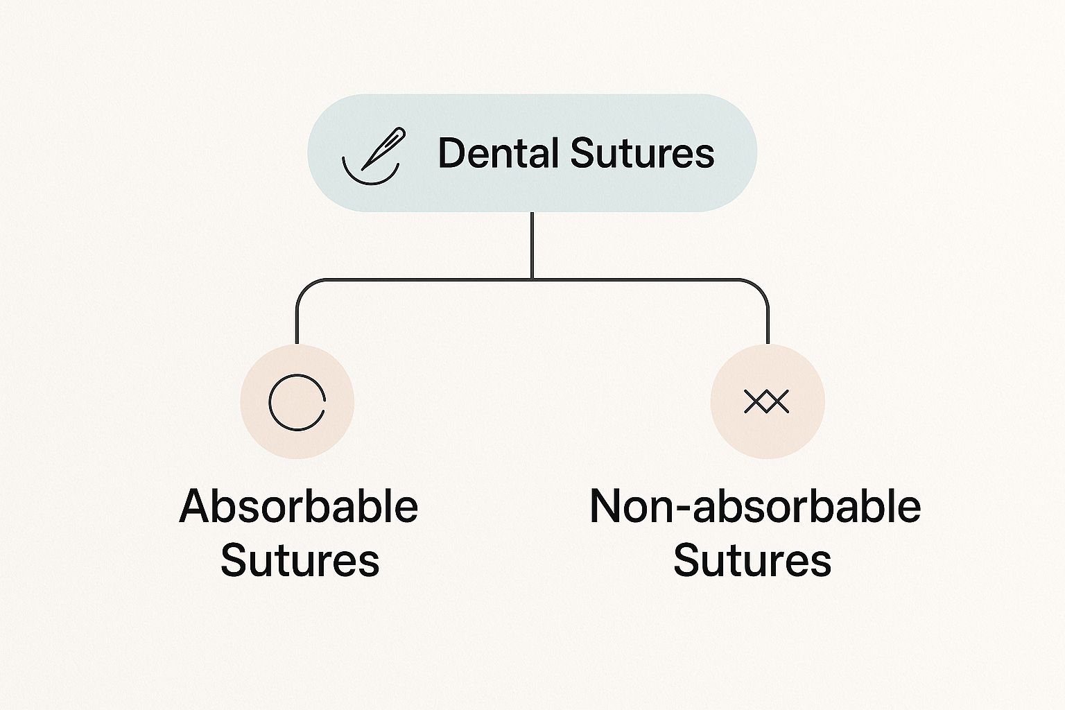 A Guide to Sutures in Dentistry - Beyond Dental Care