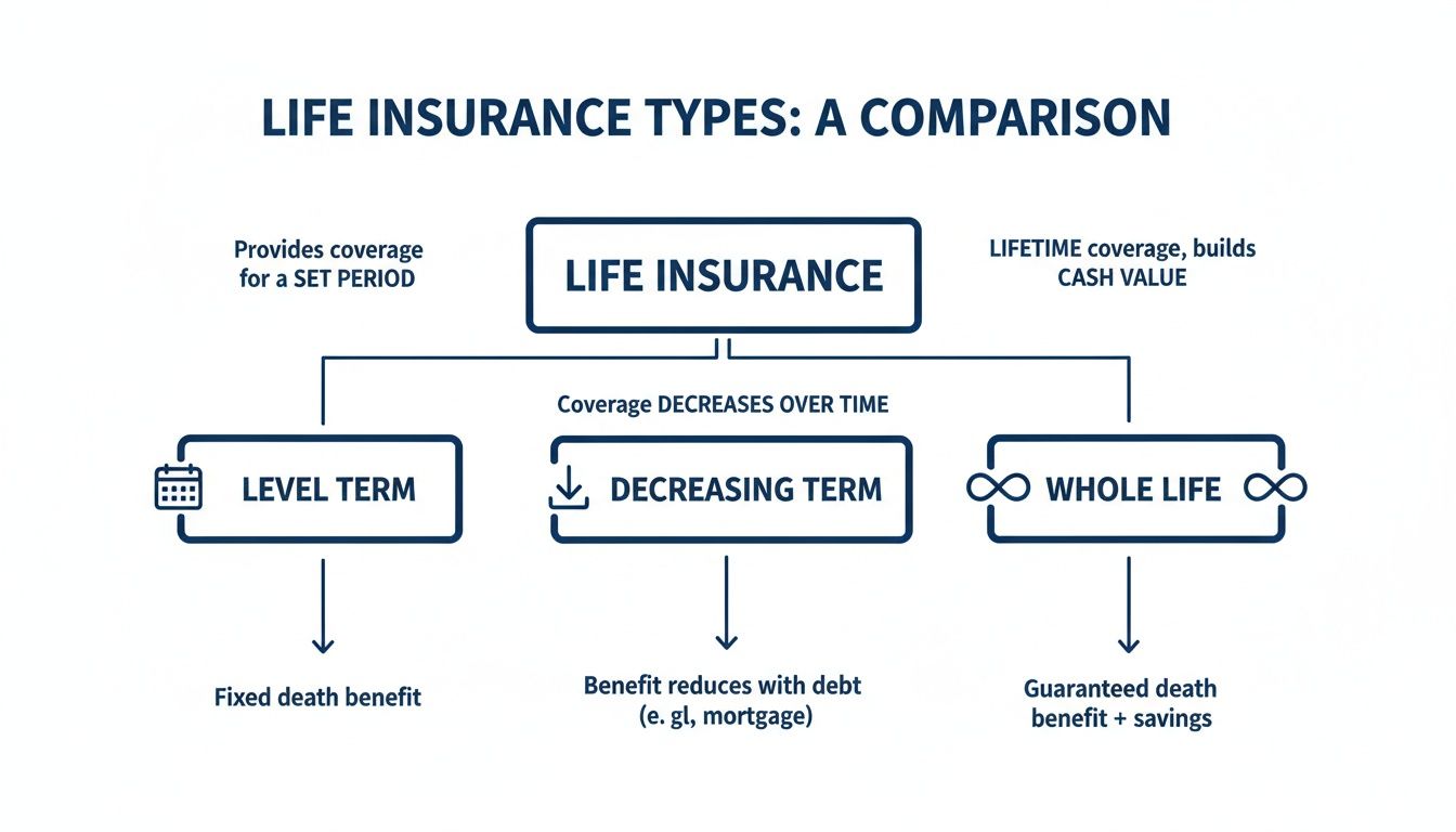 What is Level Term Life Insurance? what is level term life insurance ...