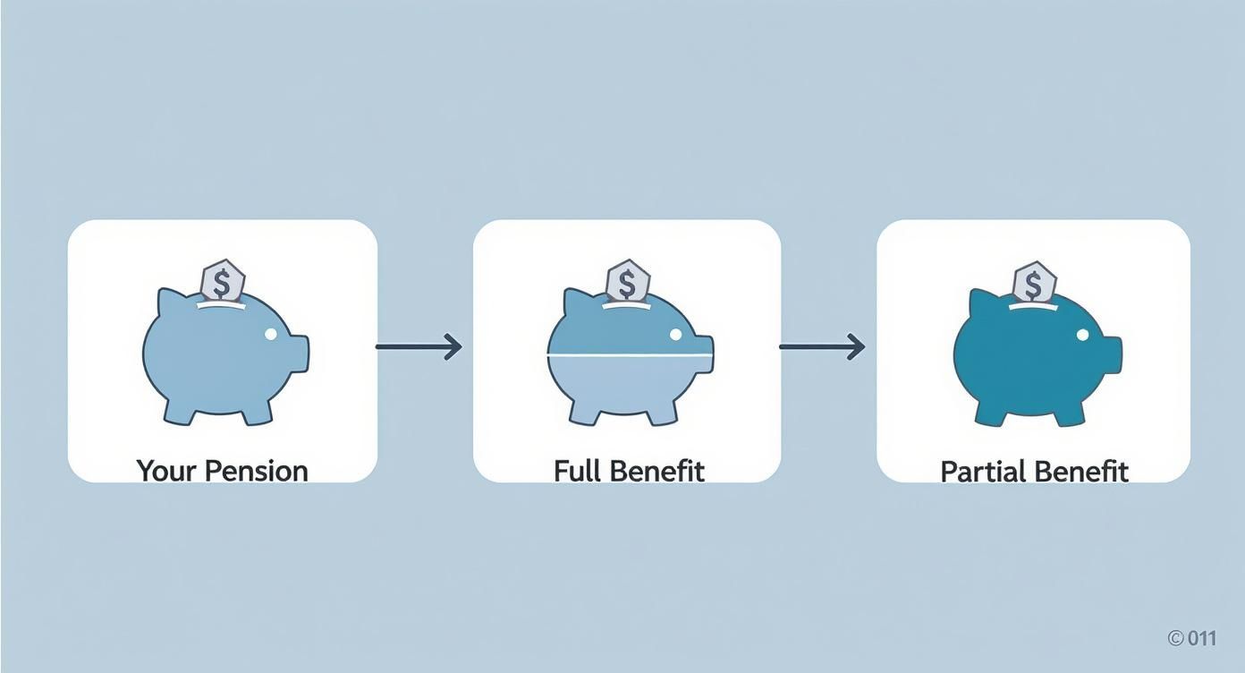 A Guide To FERS Annuity Survivor Benefits