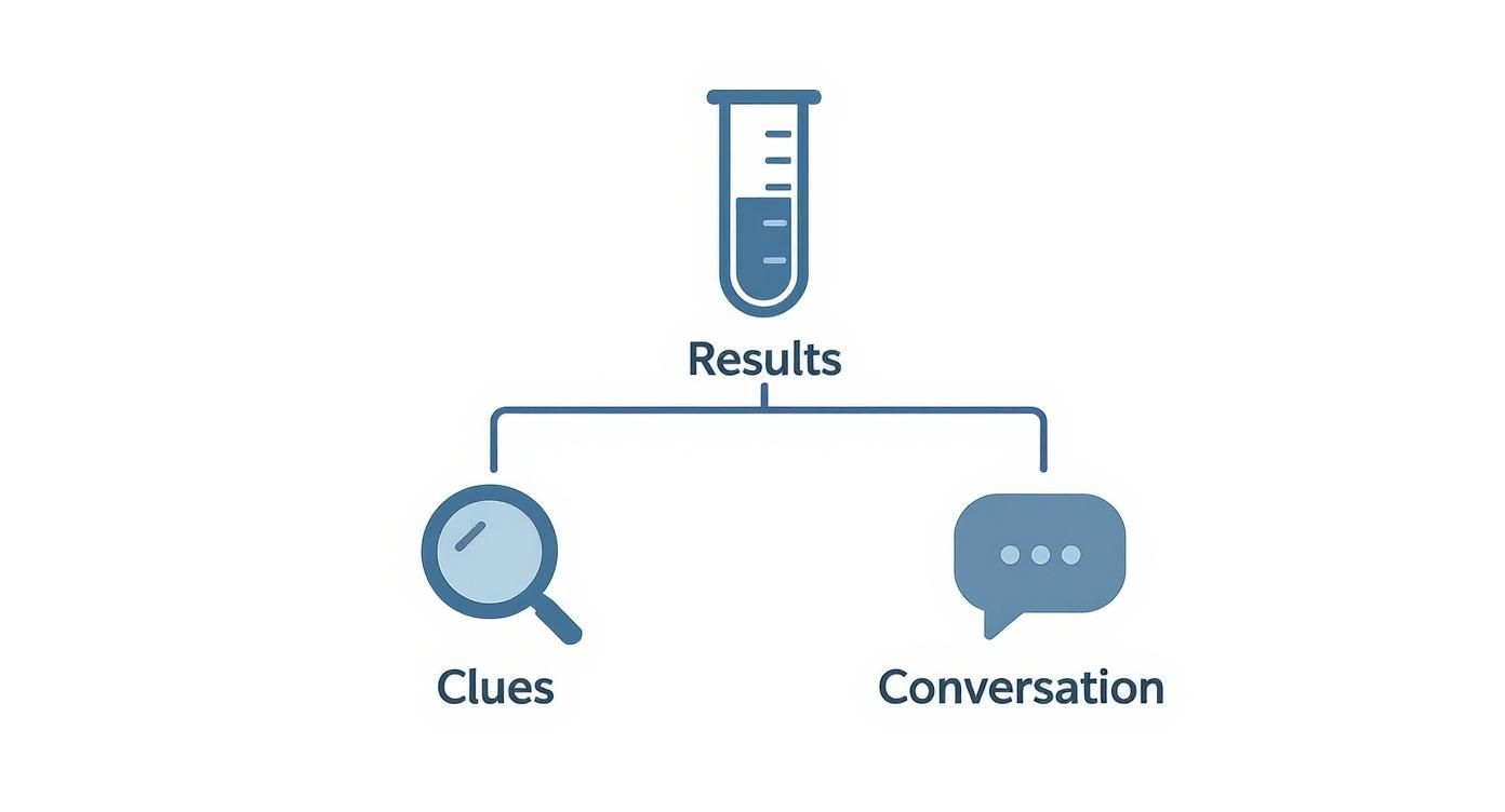 Your Guide to Fertility Blood Test Results