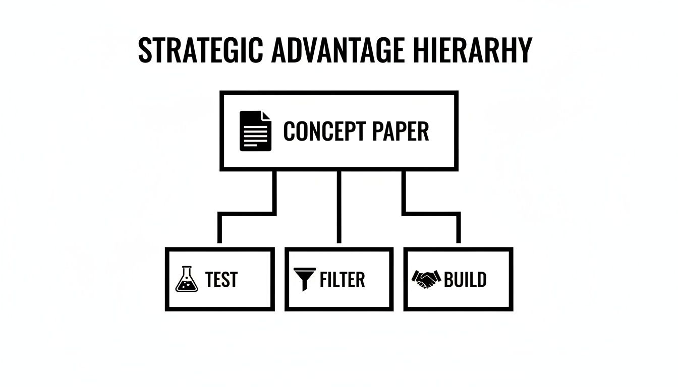What Is a Concept Paper? A Quick Guide to Winning Grants - OpenGrants