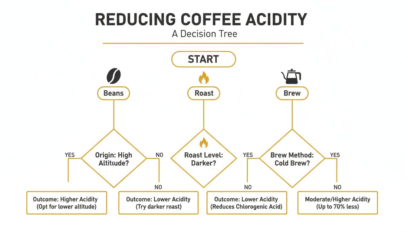 How to Reduce the Acidity of Coffee for a Smoother Brew – Cartograph Coffee